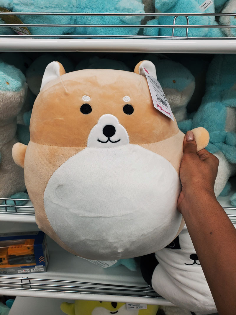 The Best Shopping Guide for Daiso Japan, Flushing Queens - Passport by ...