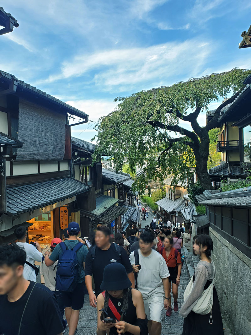 7 Day Kyoto Fall Itinerary for Your First Visit - Passport by Design